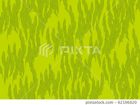 Kelp watercolor painting pattern - Stock Illustration [62106820] - PIXTA