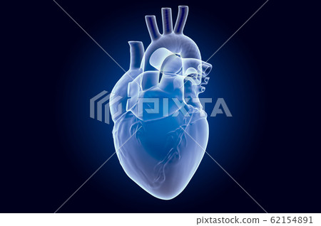 Human heart, x-ray hologram. 3D rendering - Stock Illustration ...