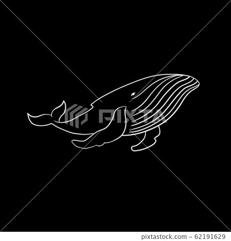 A white outline of the humpback whale on a... - Stock Illustration ...
