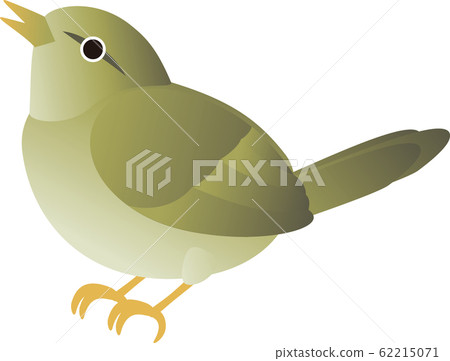 Uguisu bird spring - Stock Illustration [62215071] - PIXTA