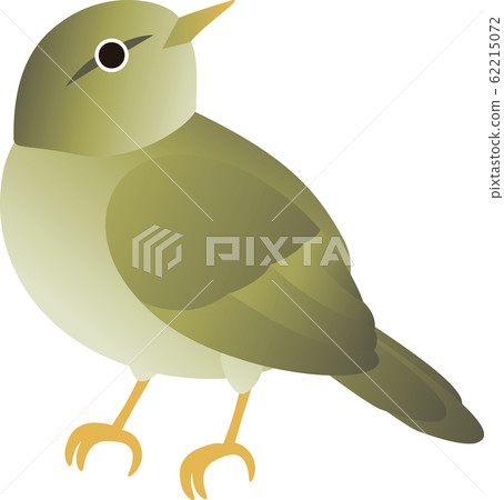 Uguisu bird spring - Stock Illustration [62215072] - PIXTA