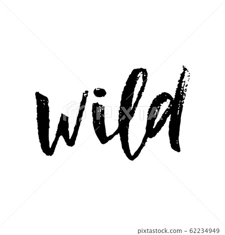 Wild isolated word. Vector illustration. - Stock Illustration [62234949 ...