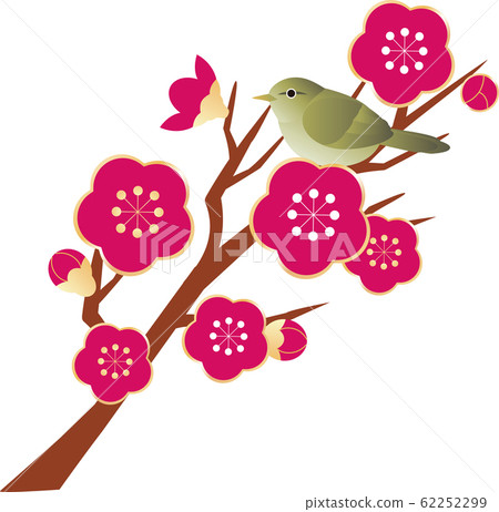 Uguisu mejiro bird bird spring plum blossom - Stock Illustration ...