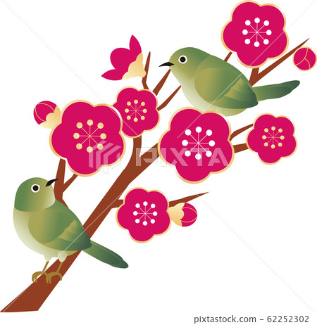 Uguisu mejiro bird bird spring plum blossom - Stock Illustration ...