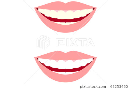 vector, vectors, white teeth - Stock Illustration [62253460] - PIXTA