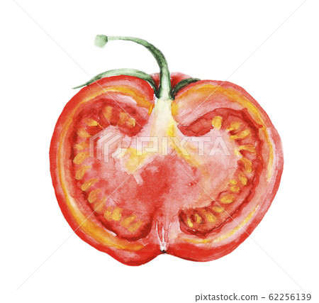 Watercolor tomato slice - Stock Illustration [62256139] - PIXTA