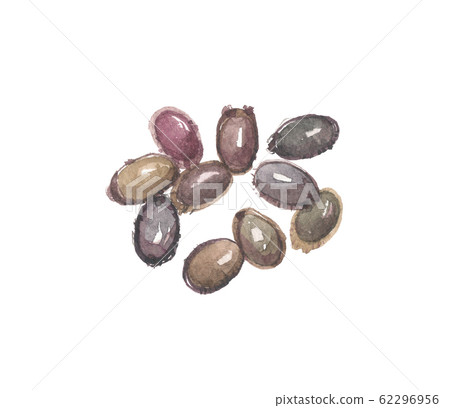 Hechima seed - Stock Illustration [62296956] - PIXTA