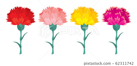 Color carnation flowers set - Stock Illustration [62311742] - PIXTA