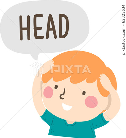 Kid Boy Naming Body Parts Head Illustration - Stock Illustration ...