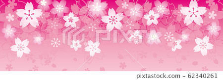 Pink cherry blossom banner, background - Stock Illustration [62340261 ...