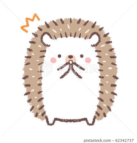 Hedgehog surprised - Stock Illustration [62342737] - PIXTA