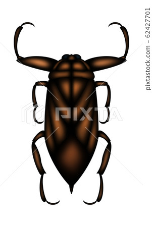 Tama Tama - Stock Illustration [62427701] - PIXTA