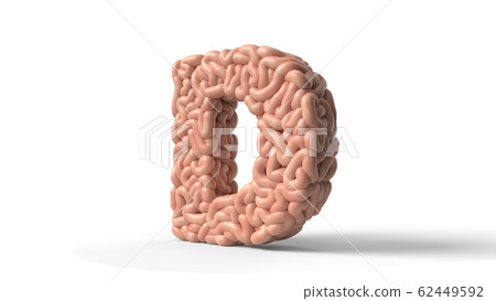 human brain in shape of letter D. 3D illustration - Stock Illustration ...