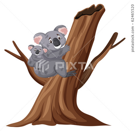 Koalas In Trees Drawing