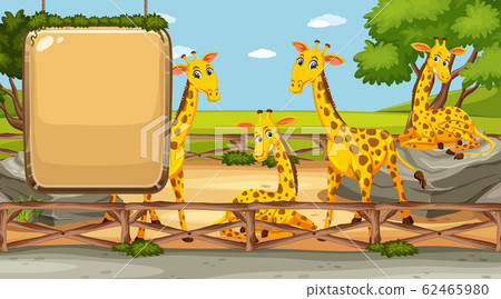 Zoo scene with blank sign and many giraffes - Stock Illustration ...
