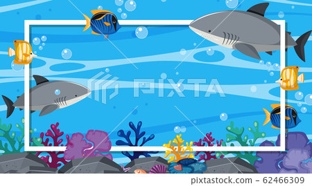 Frame template design with sea creatures under - Stock Illustration ...