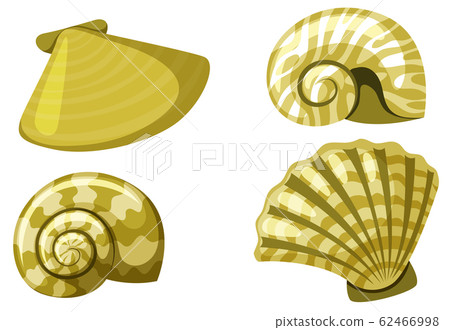 Set of isolated set of seashells in yellow color - Stock Illustration ...