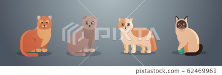 cute cats fluffy adorable cartoon animals... - Stock Illustration ...