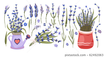 Provence floral vector set. - Stock Illustration [62492063] - PIXTA