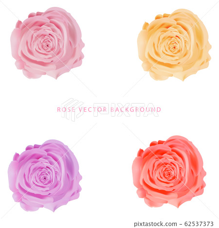 Rose vector background - Stock Illustration [62537373] - PIXTA