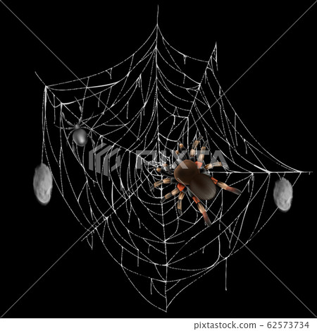 Dangerous poisonous spider on web realistic - Stock Illustration ...