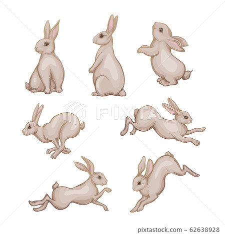 Set of seven cute hares, rabbits. - Stock Illustration [62638928] - PIXTA