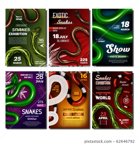 Exotic Snakes Show Advertising Banners Set Vector - Stock Illustration ...