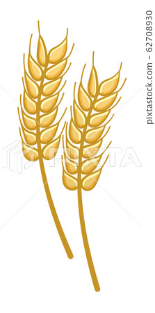 Cartoon style isolated wheat on white background - Stock Illustration ...