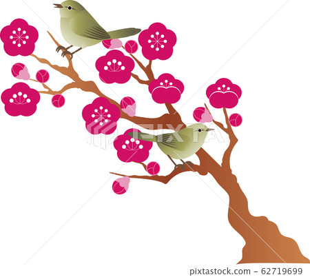 Uguisu, plum, flower, bird, spring - Stock Illustration [62719699] - PIXTA