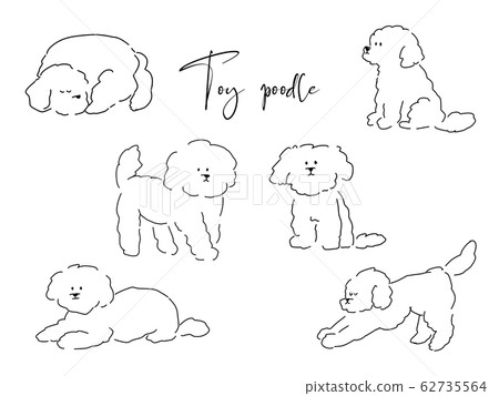 Toy poodle drawn with pen - Stock Illustration [62735564] - PIXTA