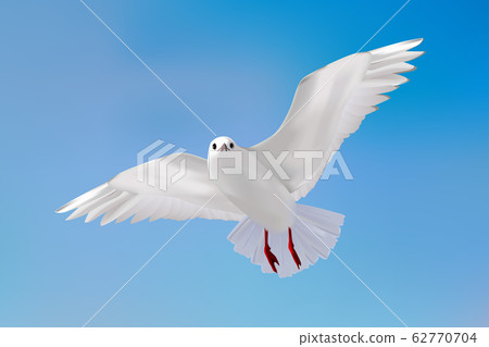 Gull in blue sky - Stock Illustration [62770704] - PIXTA