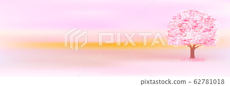 Sakura spring flower background - Stock Illustration [62781018] - PIXTA