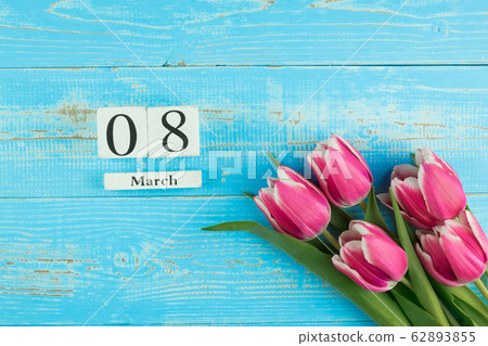 Pink tulip flower and 8th March calendar on blue - Stock Photo ...