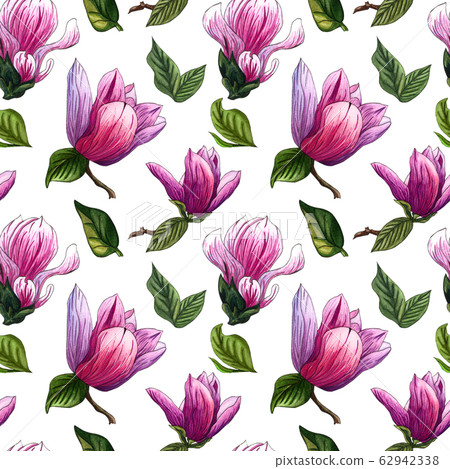 Watercolor seamless pattern of pink Magnolia - Stock Illustration ...