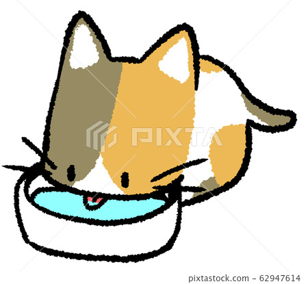 Calico cat drinking water - Stock Illustration [62947614] - PIXTA