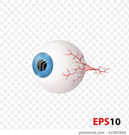 Eye. Human internal vision organ - Stock Illustration [62982680] - PIXTA