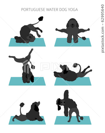 Yoga dogs poses and exercises poster design. - Stock Illustration ...