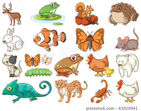 Large set of wildlife with many types of animals - Stock Illustration ...