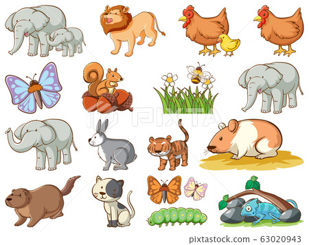 Large set of wildlife with many types of animals - Stock Illustration ...