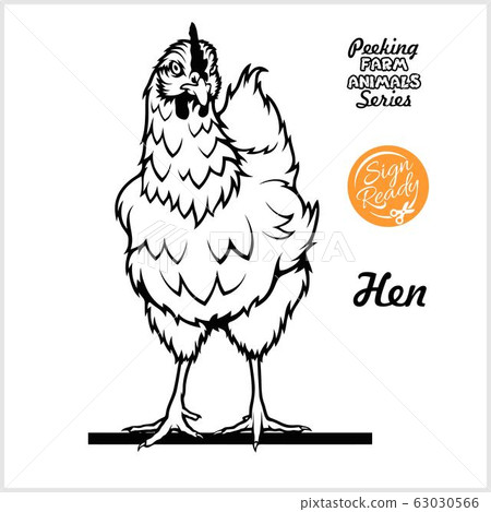 Full-length Hen - Chicken - side view -... - Stock Illustration ...