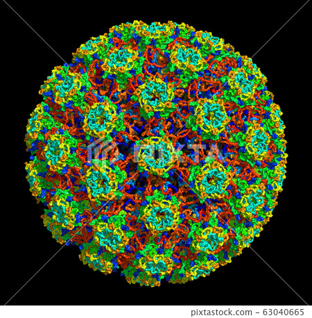 3D structure of Human papillomavirus type 16,... - Stock Illustration ...