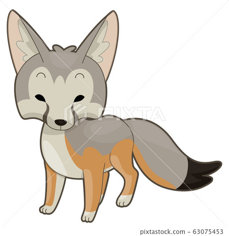 Desert Kit Fox Illustration - Stock Illustration [63075453] - PIXTA
