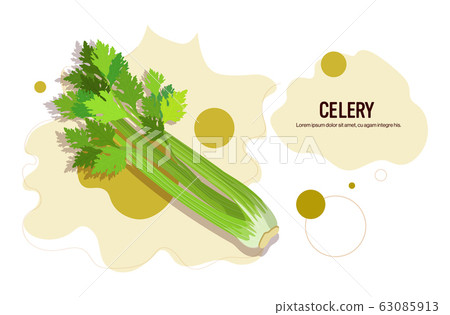 fresh celery sticker tasty vegetable icon... - Stock Illustration ...