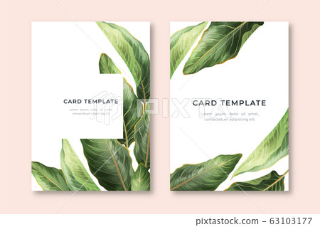 Palm Leaves Card template - Stock Illustration [63103177] - PIXTA