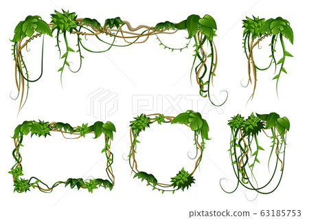 Tropical Liana Cartoon Set - Stock Illustration [63185753] - PIXTA