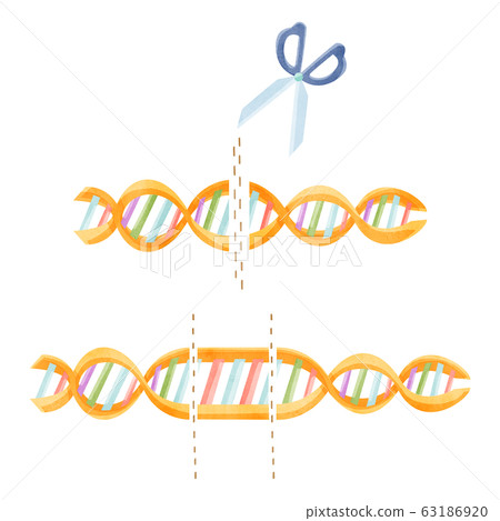 DNA cutting image - Stock Illustration [63186920] - PIXTA