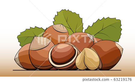 Vector illustration of hazelnuts on a line. - Stock Illustration ...