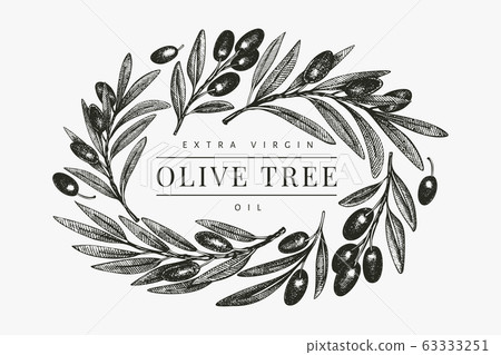 Olive Tree Branch Vector