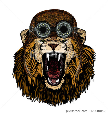 Lion. Wild animal portrait. Face of african... - Stock Illustration ...