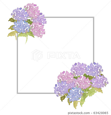 Hydrangea Frame - Stock Illustration [63428065] - PIXTA